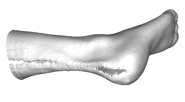 OHI1Scan Troubleshooting Support